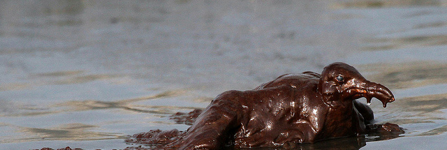 Images from immediate aftermath of the Deepwater Horizon oil spill ...