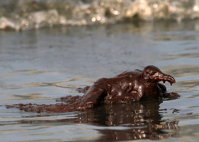 Images from immediate aftermath of the Deepwater Horizon oil spill ...