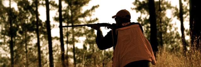 Our unsustainable habit of hunting and fishing only for adult animals ...