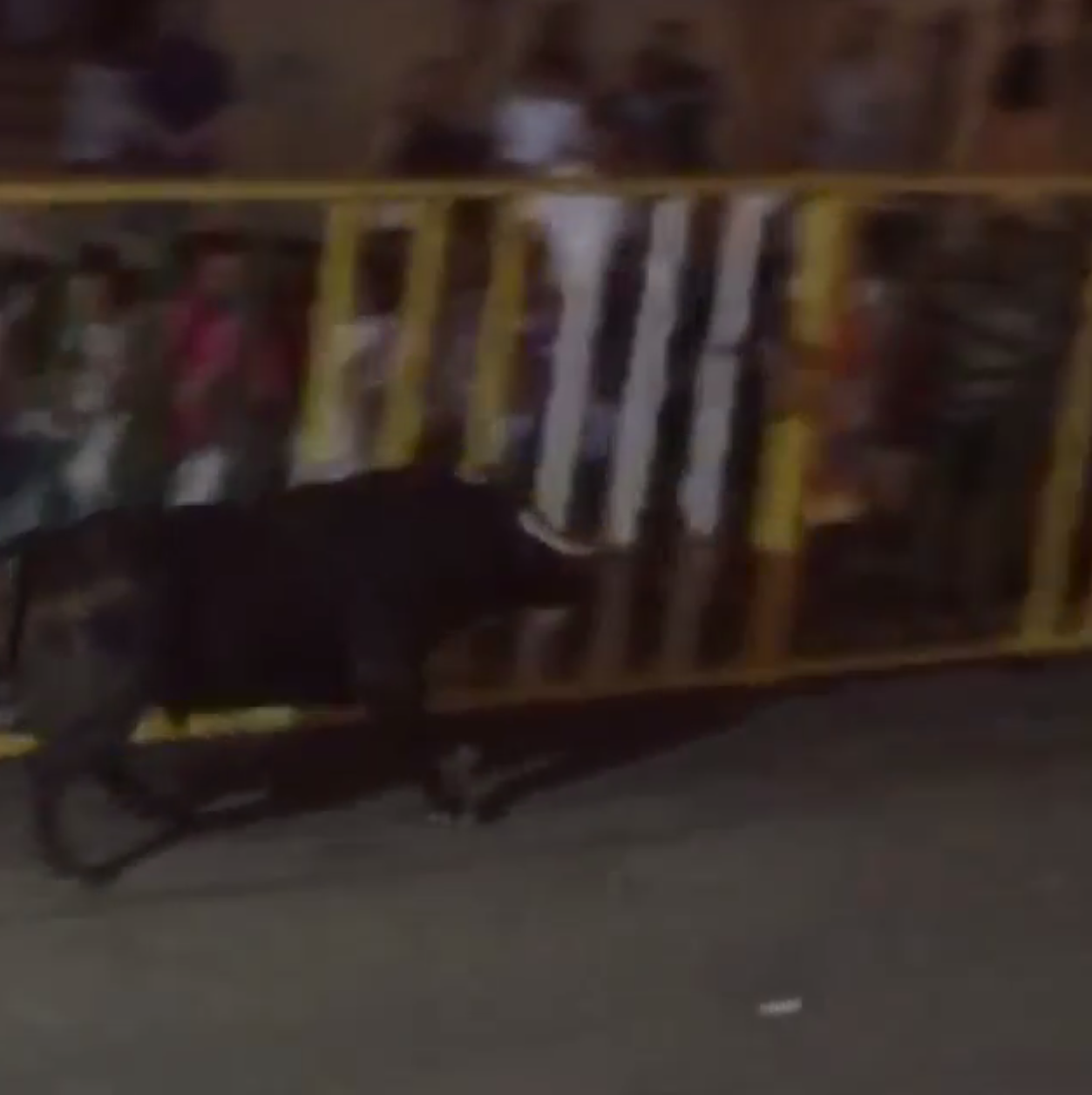 Spaniard fatally gored while trying to film bull run on smartphone ...