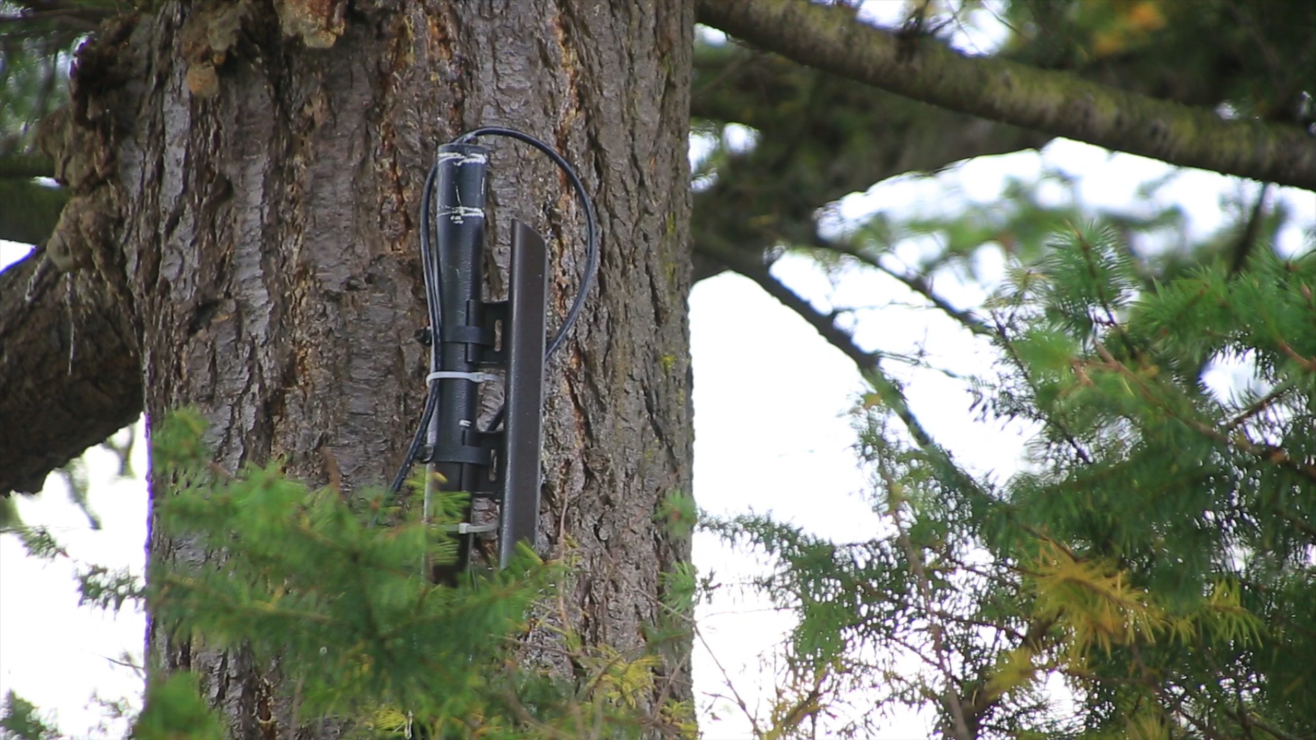 How a group of neighbors created their own Internet service - Ars Technica