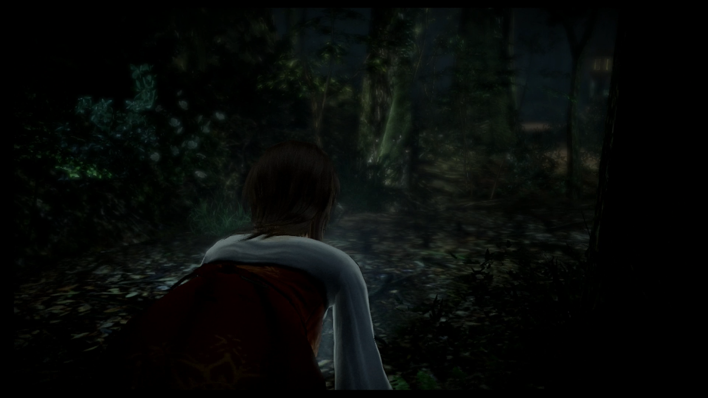 Fatal Frame: Maiden of Black Water review: Ghost-emon Snap - Ars Technica