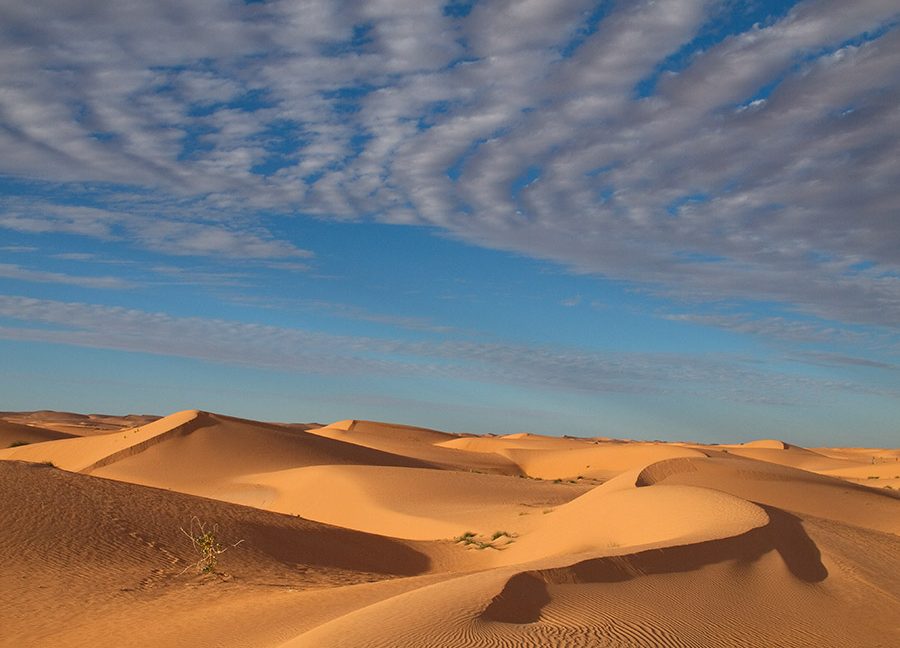 Beneath the Saharan sands, a river valley - Ars Technica