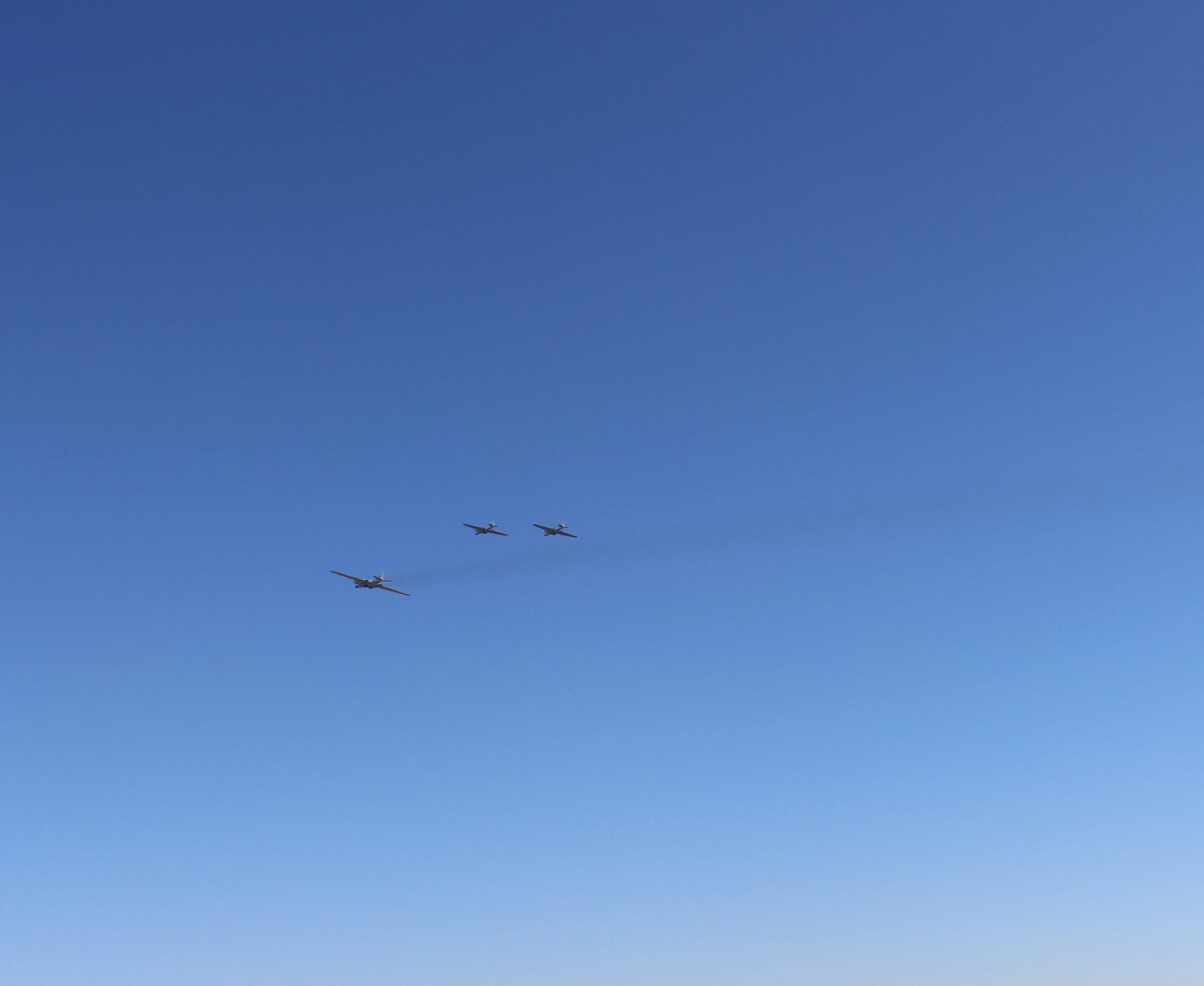 Three high-flying birds soar together for the first time since the ...