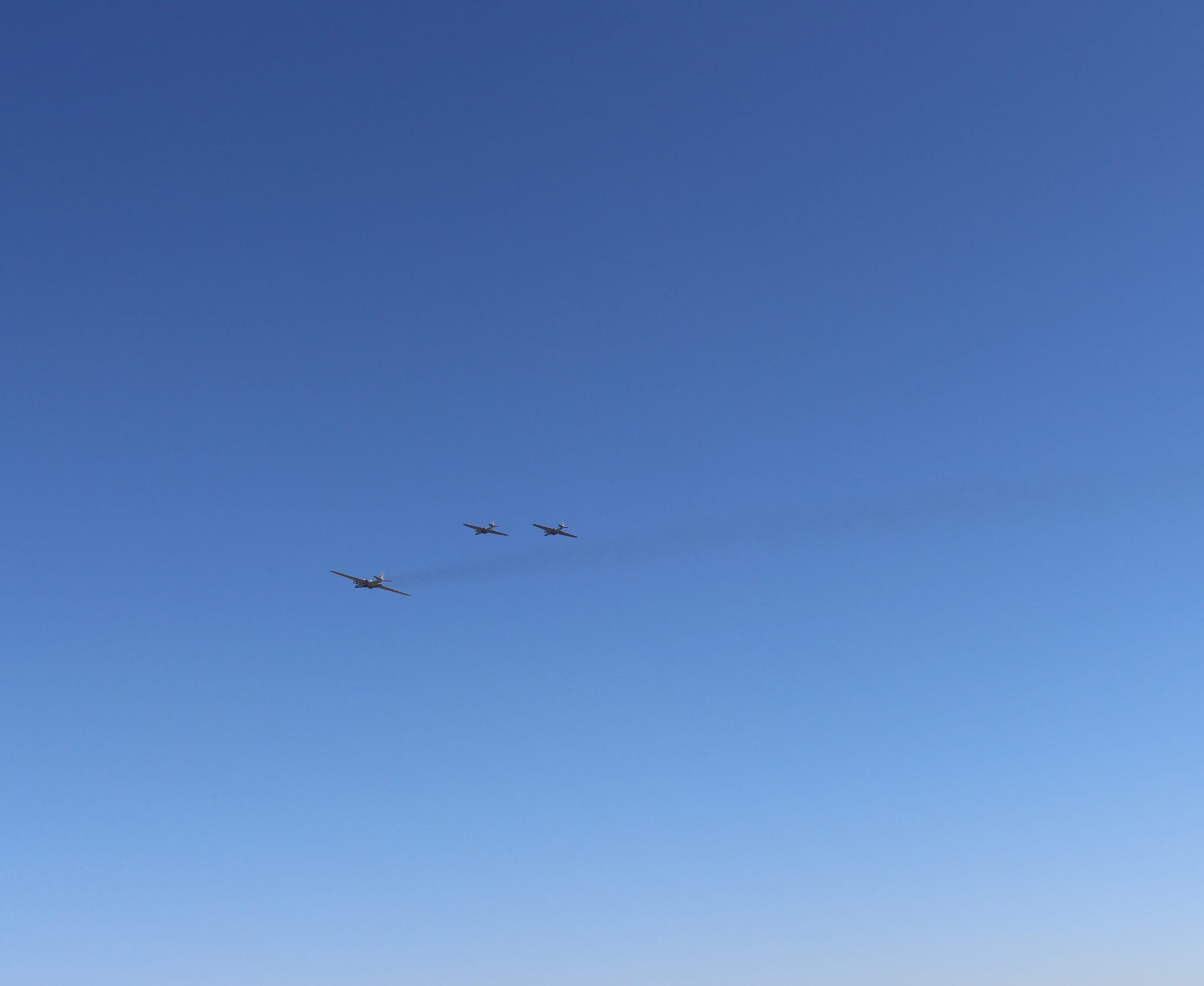 Three high-flying birds soar together for the first time since the ...