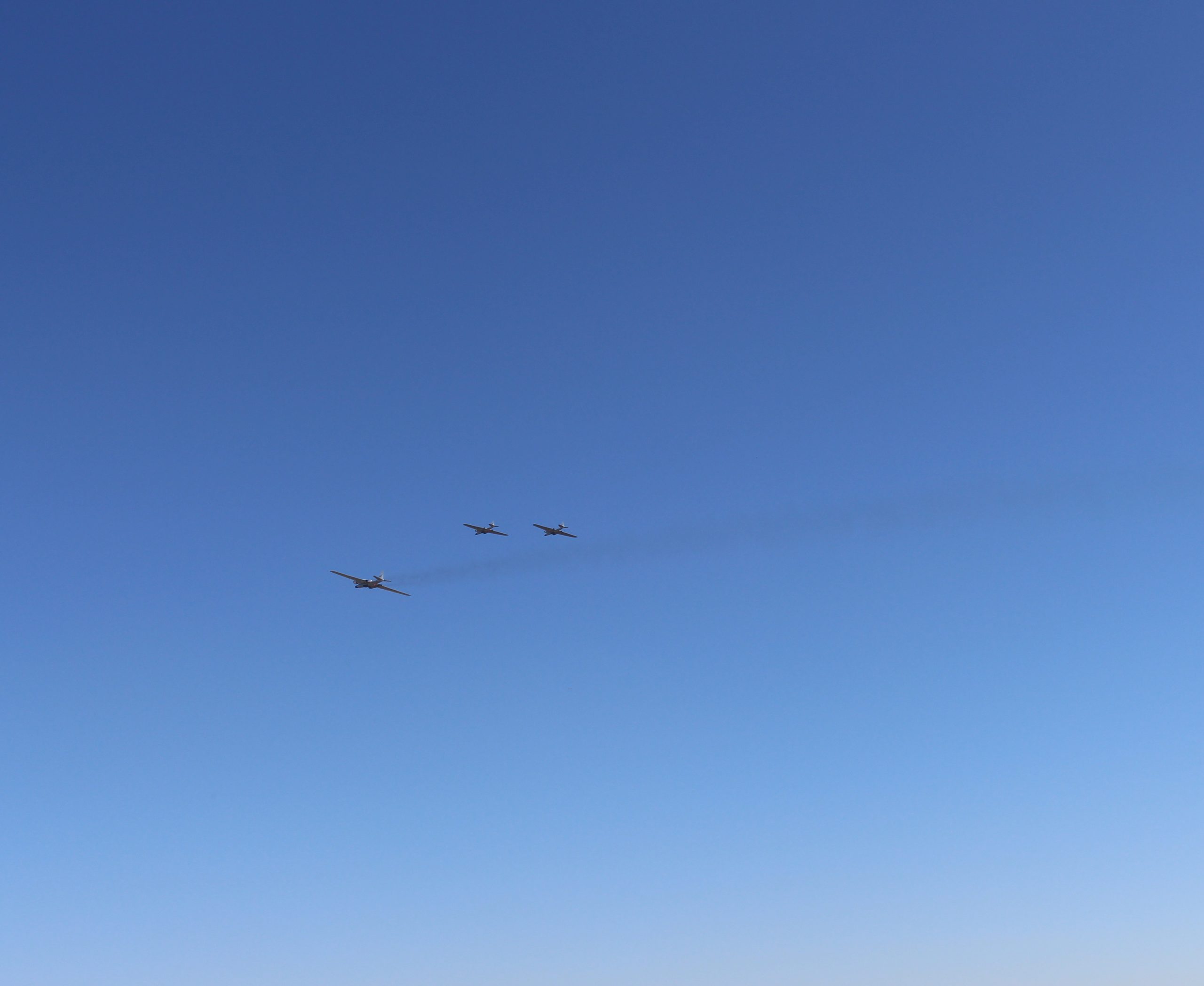 Three high-flying birds soar together for the first time since the ...