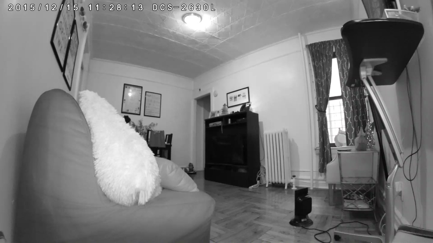 D-Link’s Wi-Fi camera provides a sharp, 180-degree view of your home ...