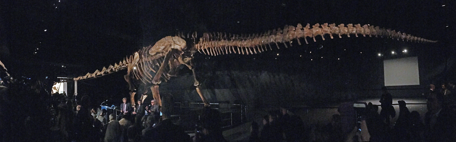 Unveiling the Titanosaur, which may be the world’s largest dinosaur ...