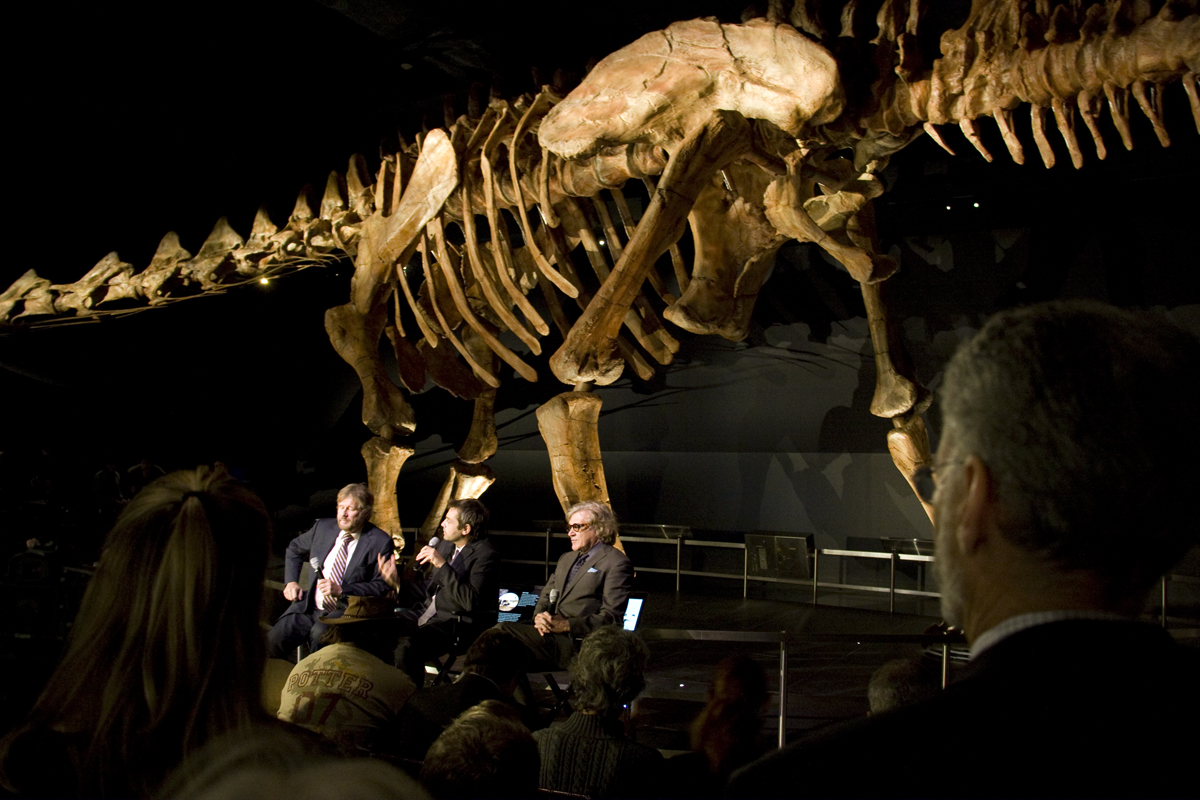Unveiling the Titanosaur, which may be the world’s largest dinosaur ...