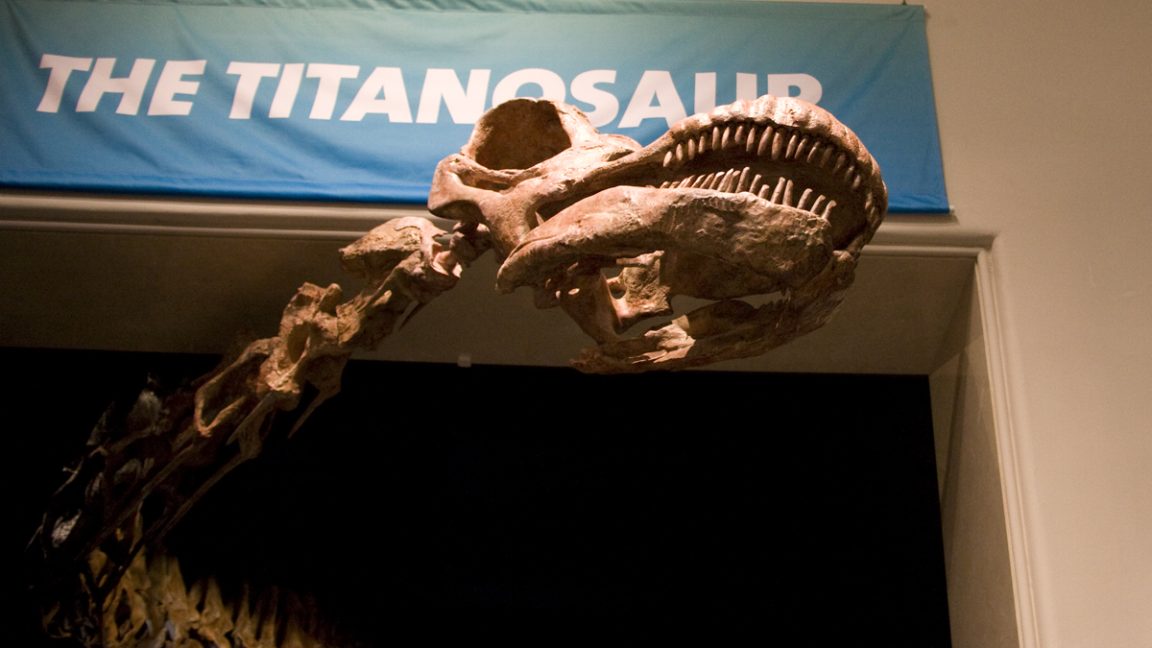 Unveiling the Titanosaur, which may be the world’s largest dinosaur ...