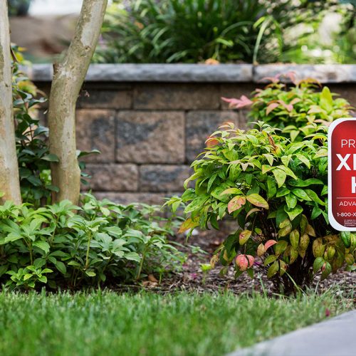 Tag: home security - Ars Technica