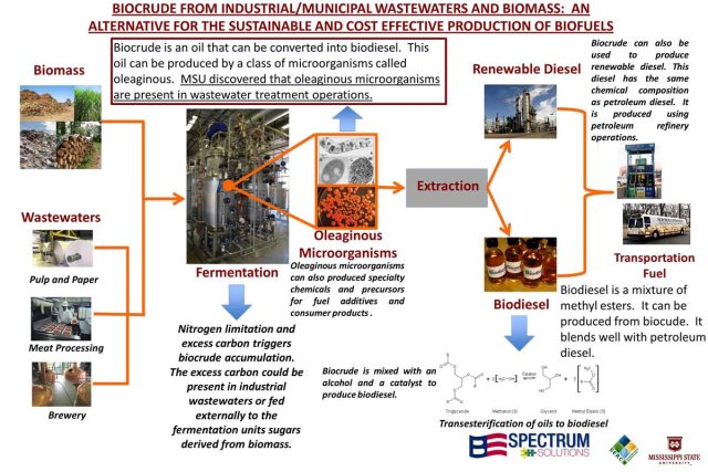 Powerful crap: The quest to turn smelly sewage into sweet biodiesel ...