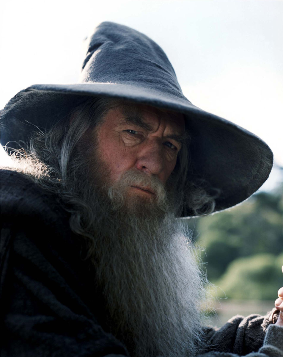 Scientists pluck genes at the root of gray hairs, unibrows, bushy ...