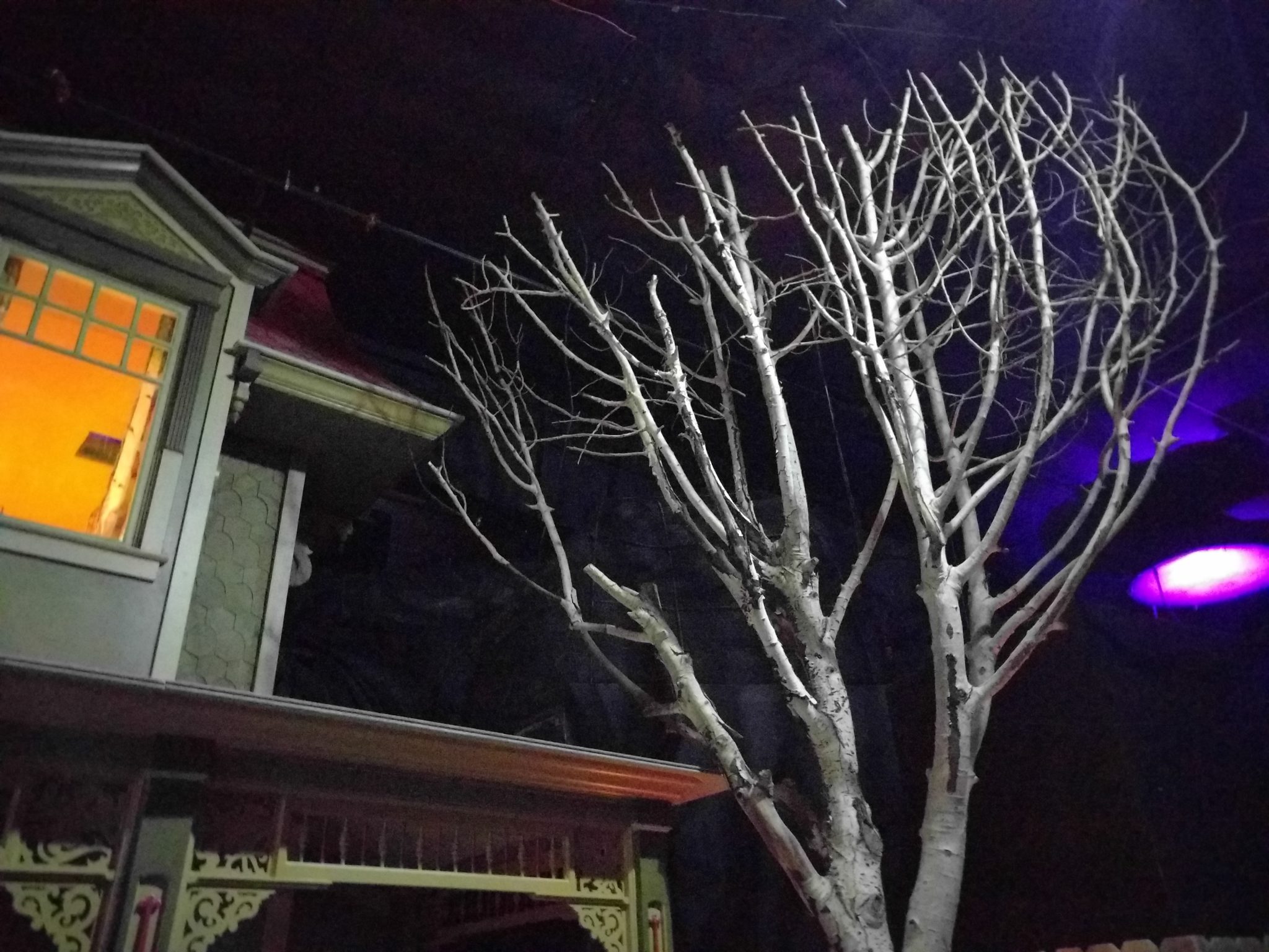 Inside Meow Wolf, the amusement park for people who want a weirder ...