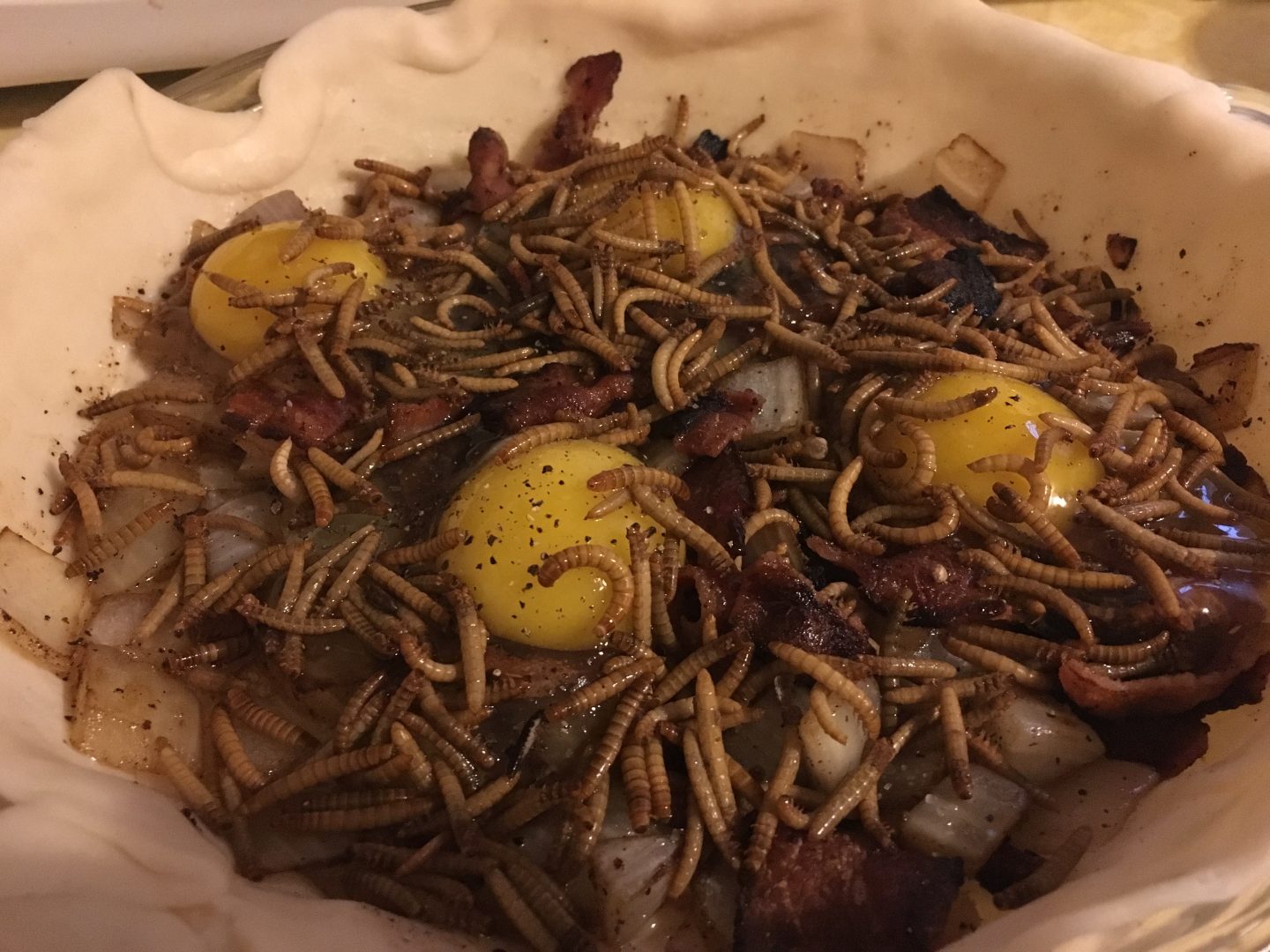 “Out poked two antennae”—crafting an insect-based dinner party - Ars ...