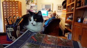 What Slack is doing to our offices—and our minds - Ars Technica