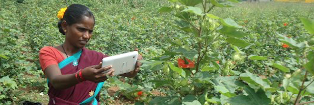 How a simple SIM card makes farmers more efficient—and possibly saves ...