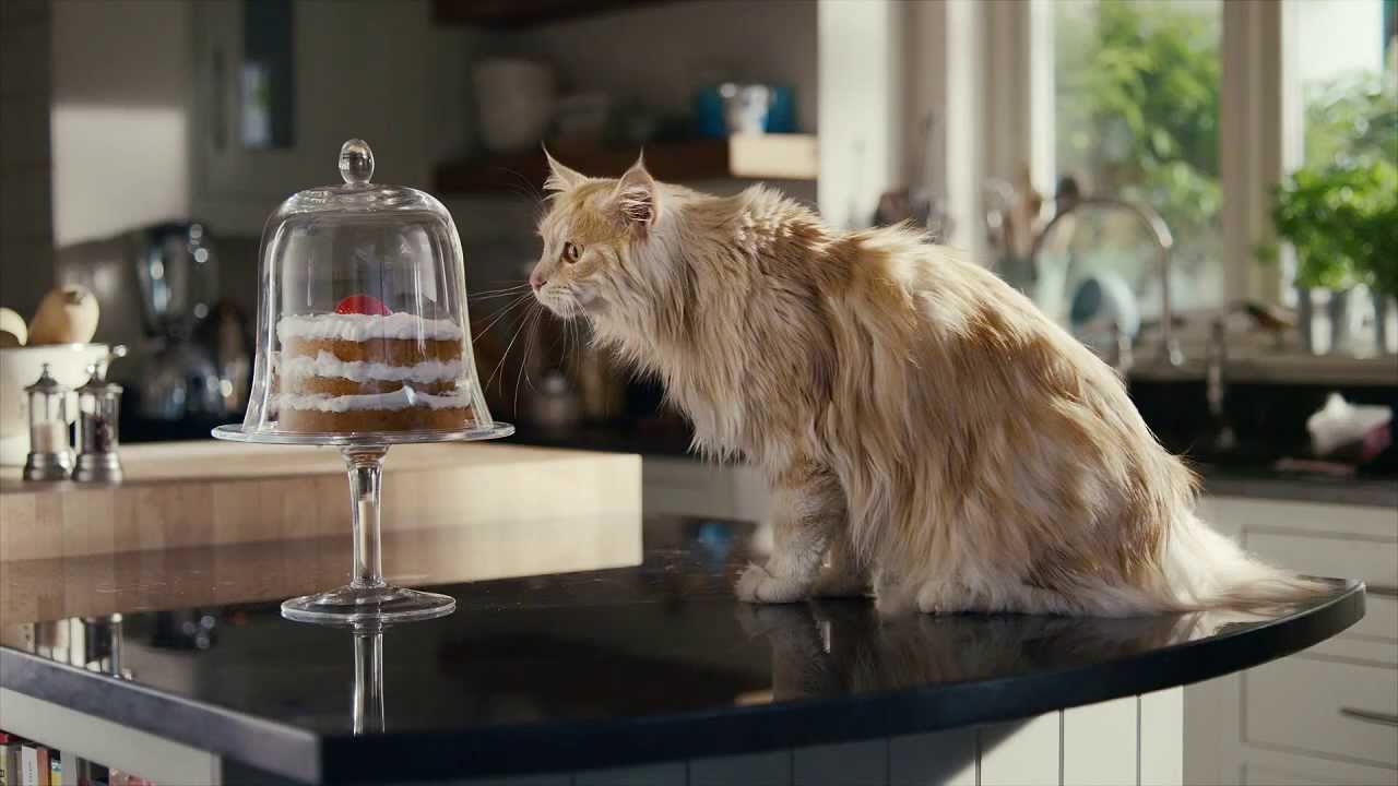 Three-O2 merger in doubt as block on £10 billion deal looms—report ...