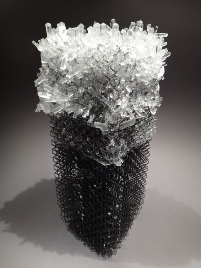 An artist is prototyping a hand grown out of human stem cells - Ars ...