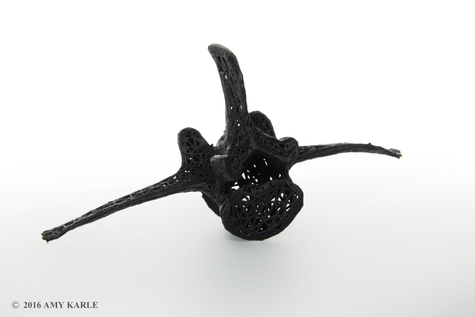 An artist is prototyping a hand grown out of human stem cells - Ars ...