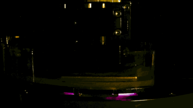 An artist is prototyping a hand grown out of human stem cells - Ars ...