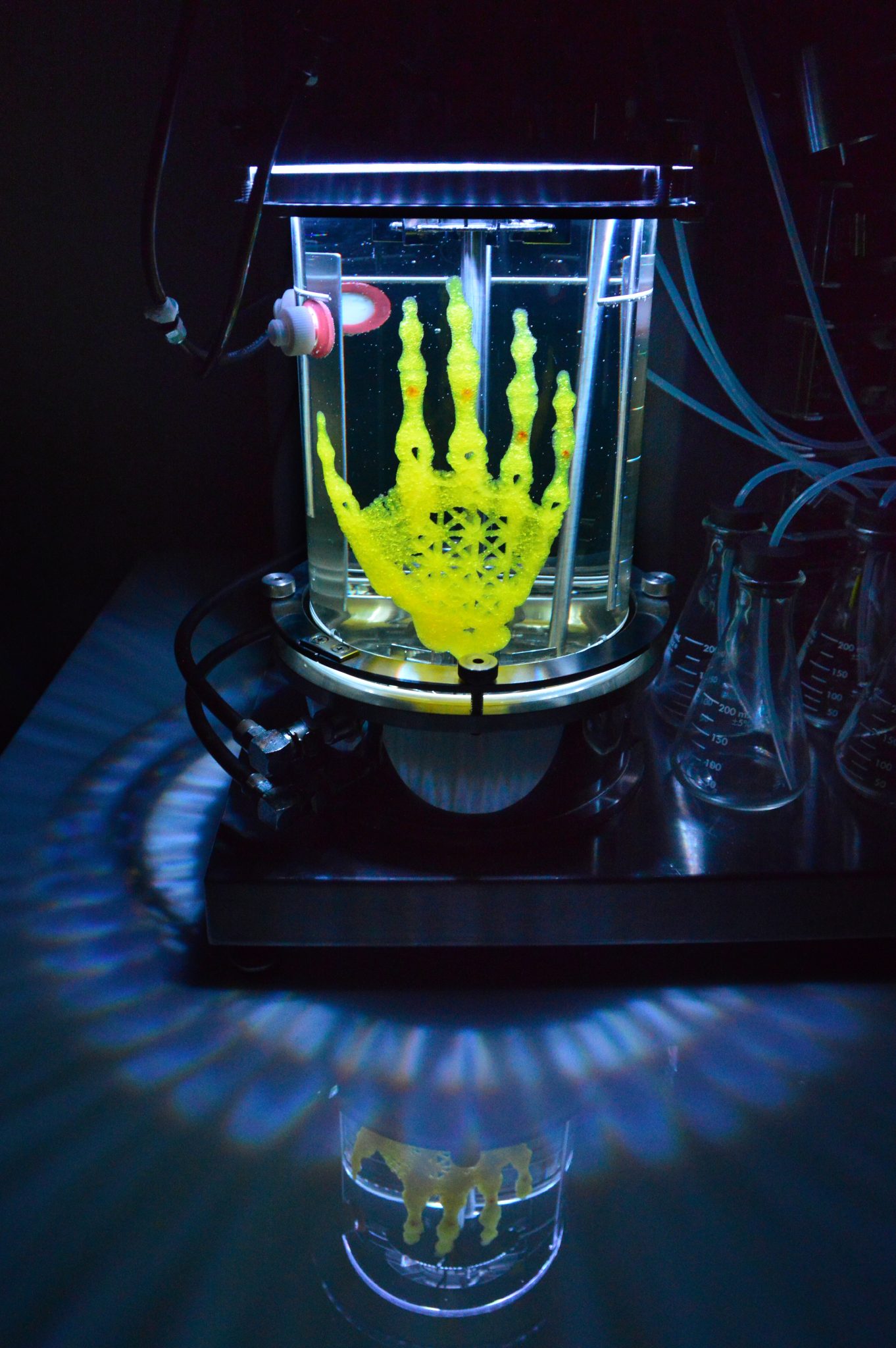 An artist is prototyping a hand grown out of human stem cells - Ars ...