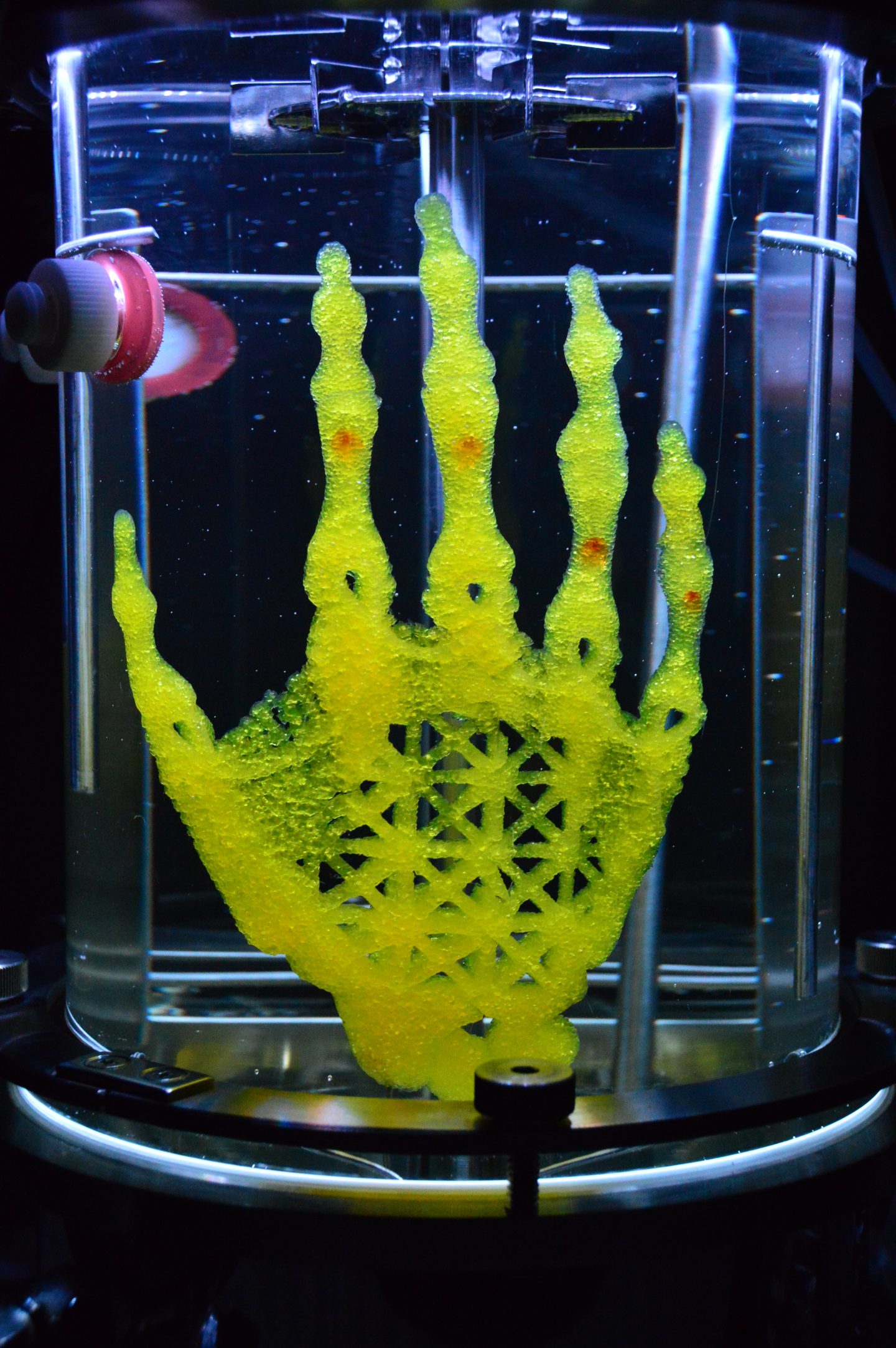 An artist is prototyping a hand grown out of human stem cells - Ars ...