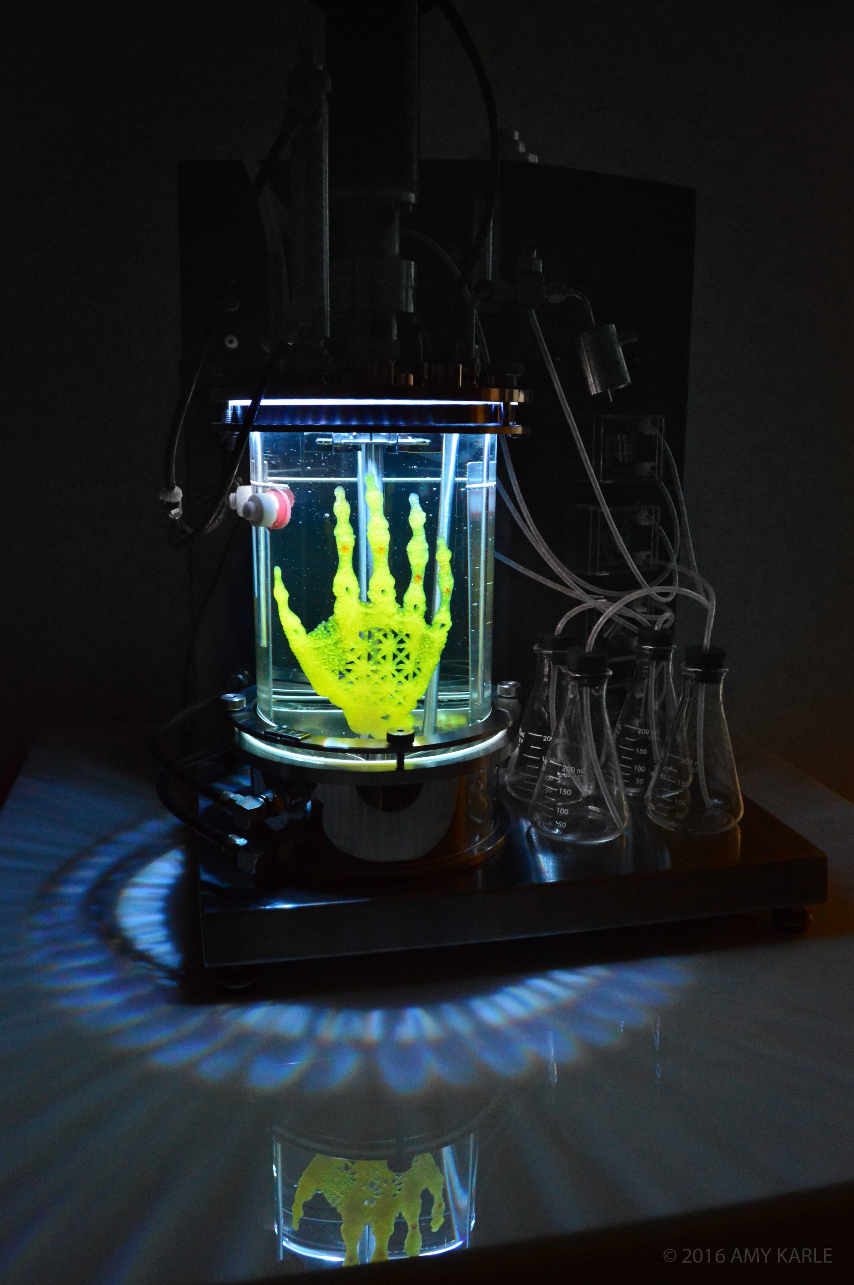 An artist is prototyping a hand grown out of human stem cells - Ars ...