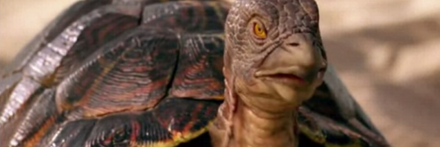 Not really “broadband”—US grant program has 4Mbps speed standard | Ars ...