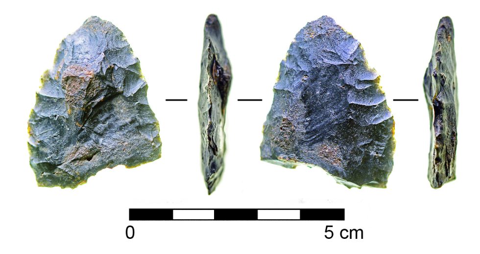 Underwater discovery reveals 14,550 year-old Florida mastodon hunters ...