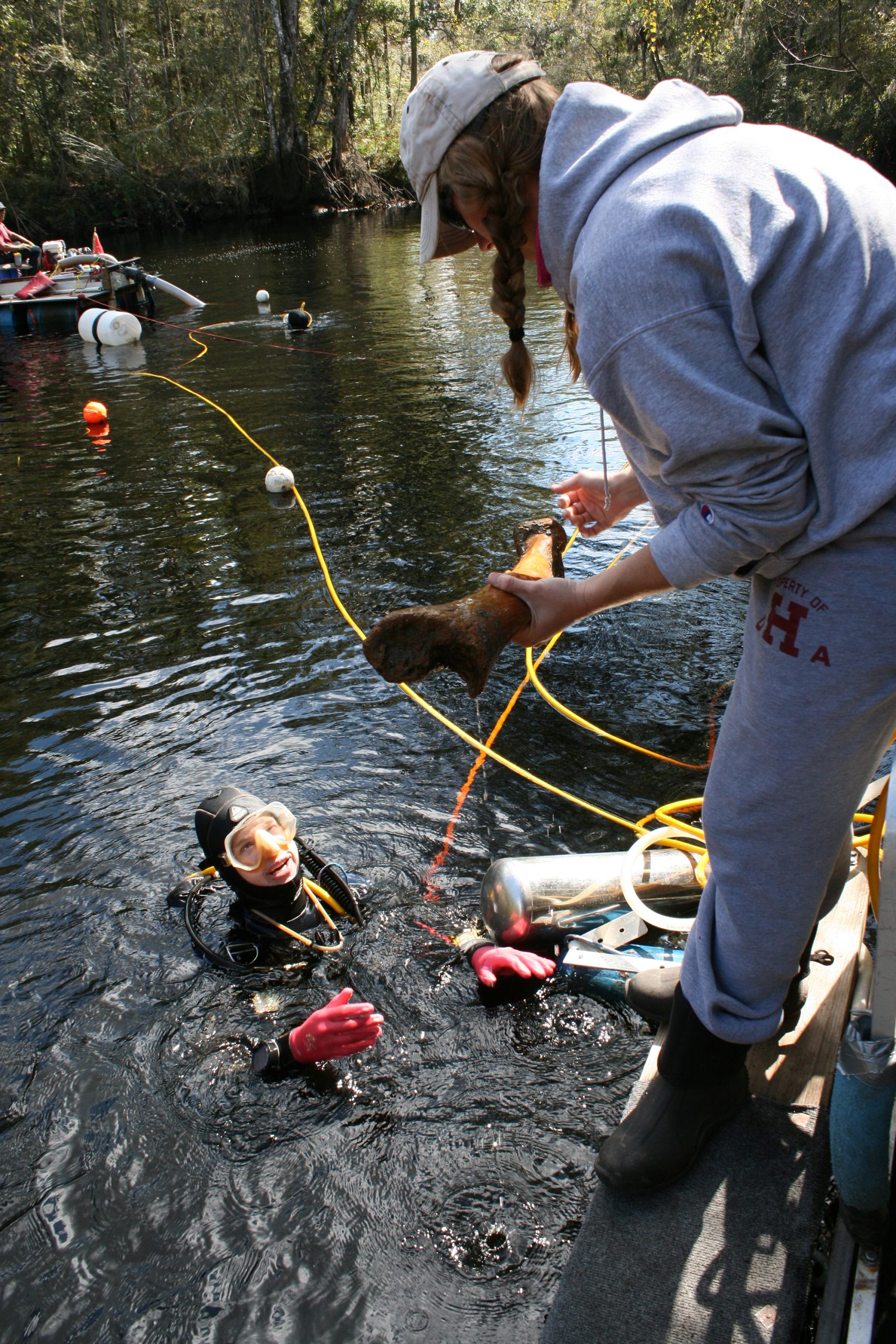 Underwater discovery reveals 14,550 year-old Florida mastodon hunters ...