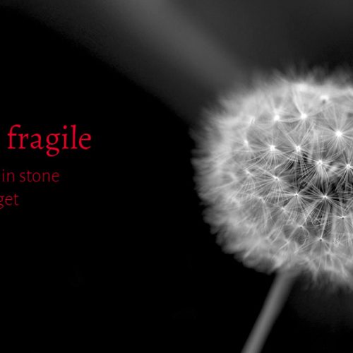 Tag: scientific software - Ars Technica