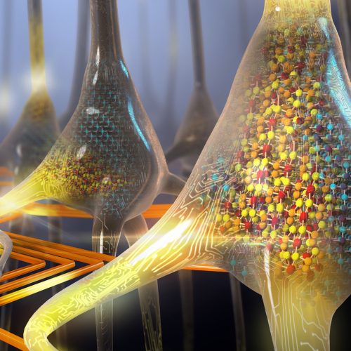 Tag: ibm research - Ars Technica