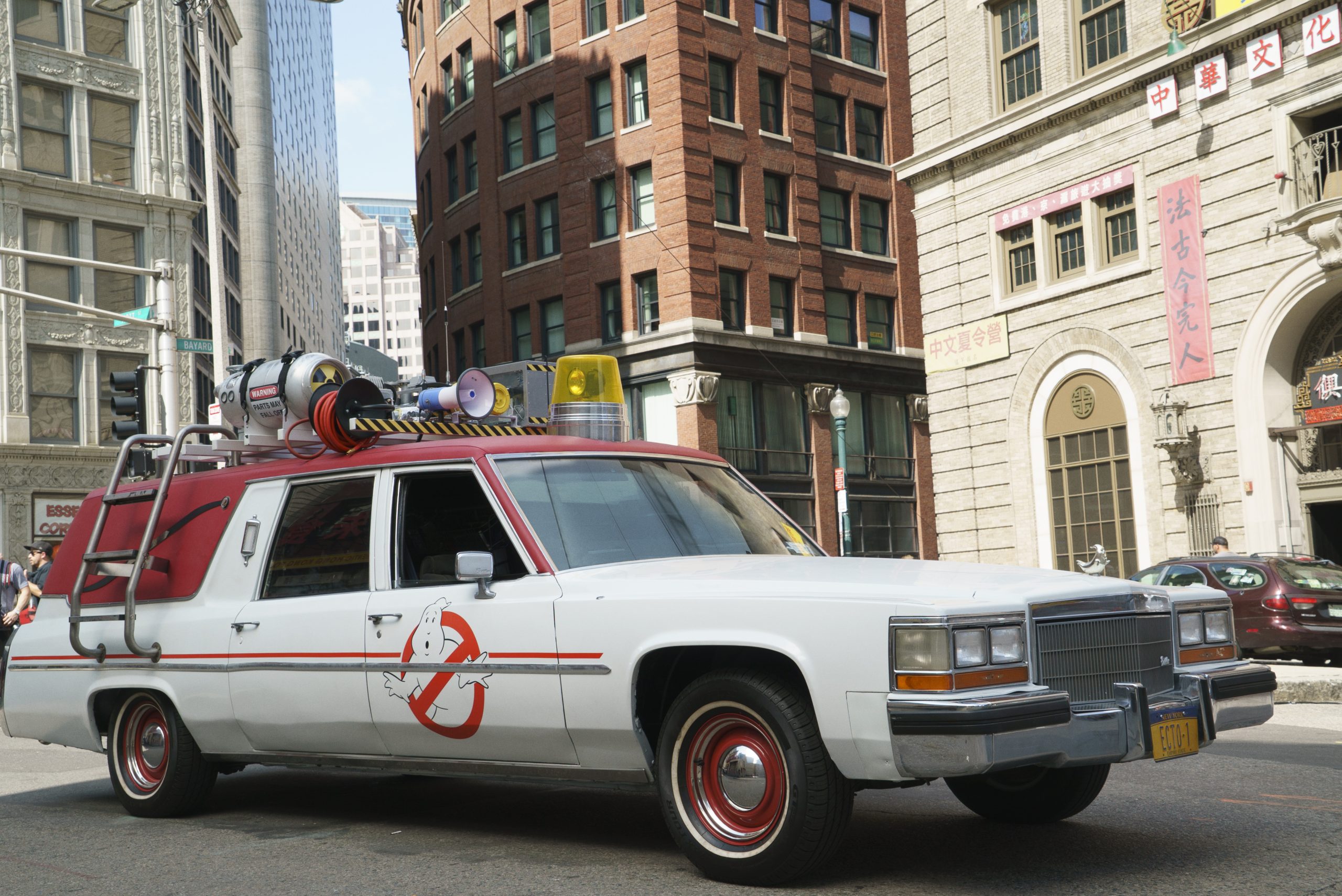 Cats and dogs are living together because the new Ghostbusters is ...