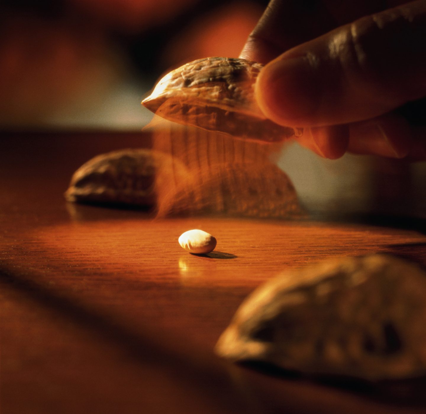 7th Circuit to Prenda Law: We told you to stop digging—you didn’t ...