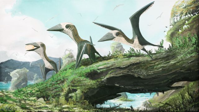 New fossil suggests life during the late Cretaceous was not quite what ...