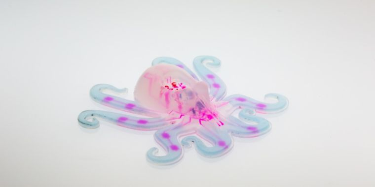 Behold the octobot—a fully autonomous, soft-bodied robot | Ars Technica