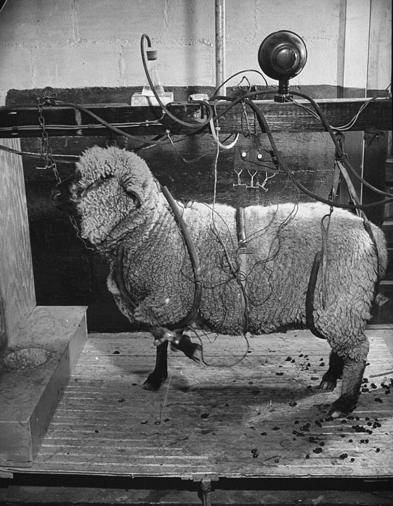 Building a bionic spine - Ars Technica