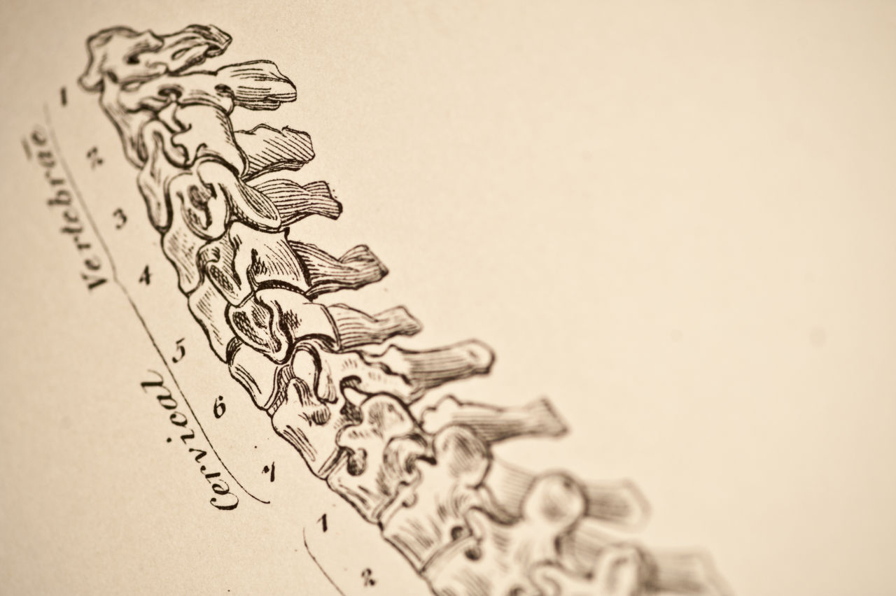 Building a bionic spine | Ars Technica