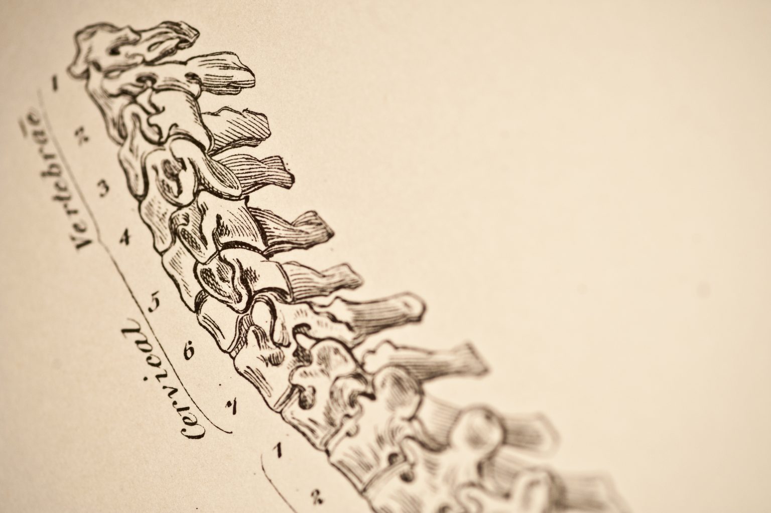 Building a bionic spine - Ars Technica