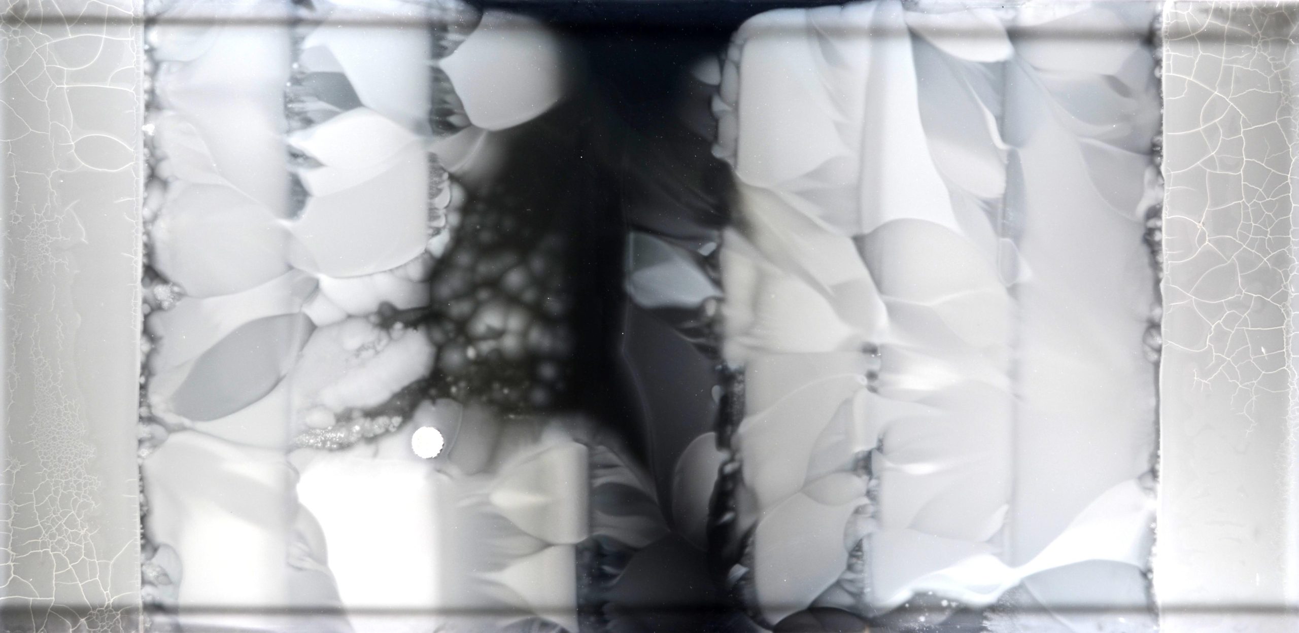 Evolution: The Movie, courtesy of a really big Petri dish - Ars Technica