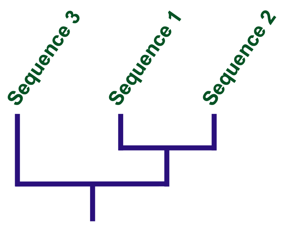 How we reconstruct our evolutionary past - Ars Technica