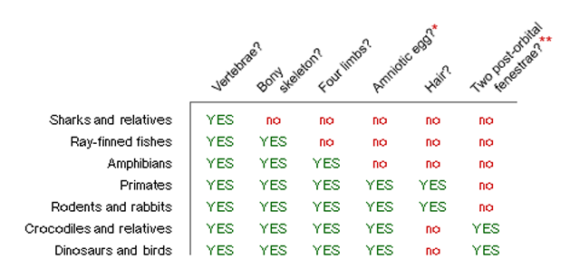 How we reconstruct our evolutionary past - Ars Technica