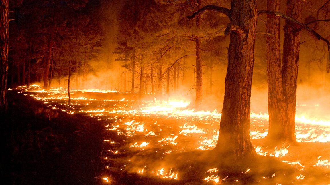 Huge area of US West burned due to warming climate - Ars Technica