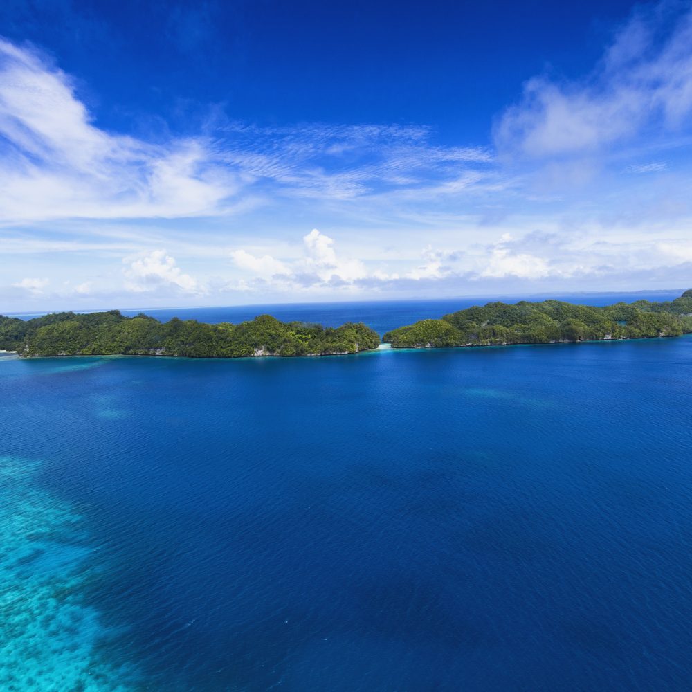 Tag: pacific migration - Ars Technica