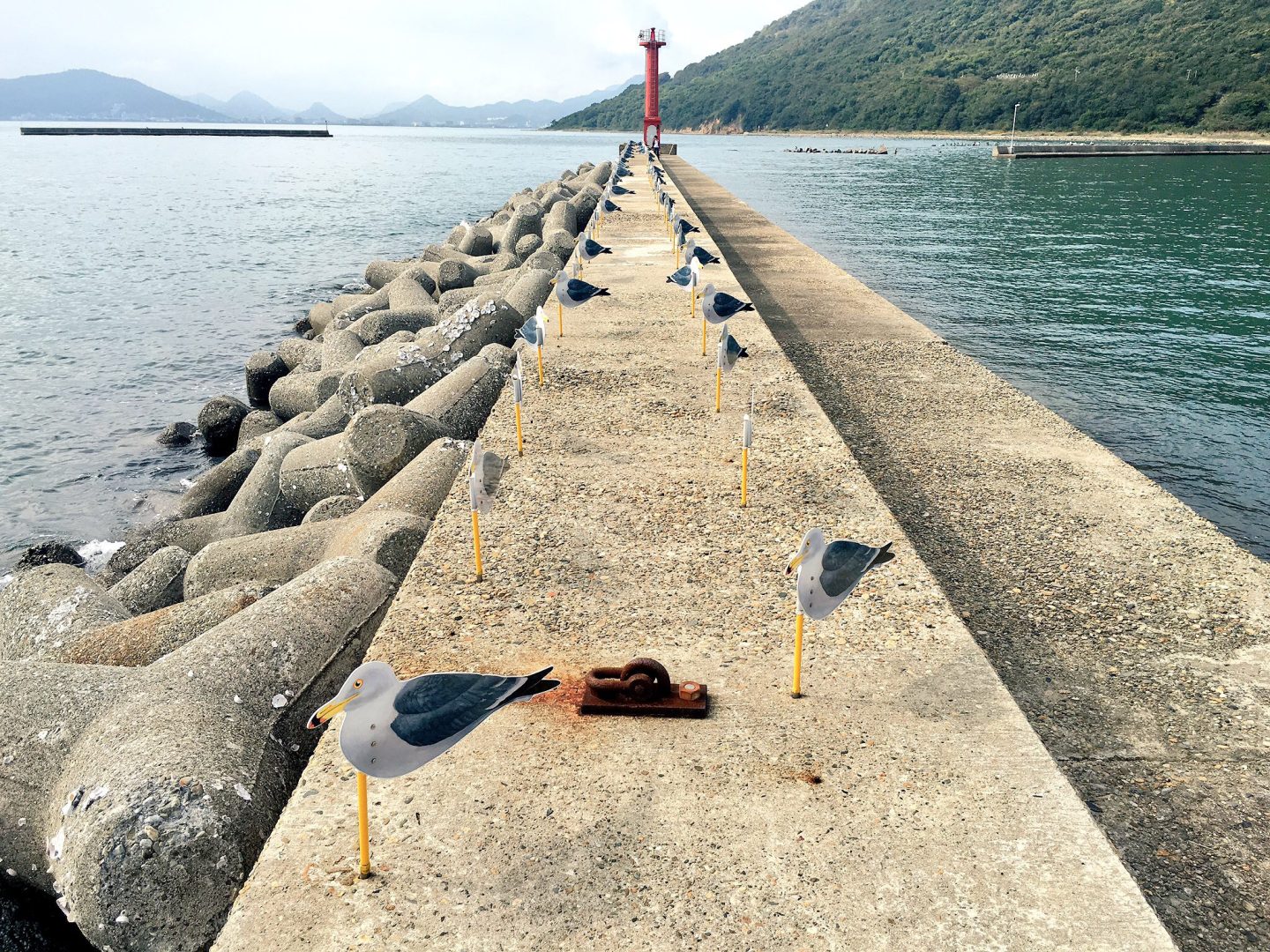 Covering coasts with concrete: Japan looks to Tetrapods to battle ...