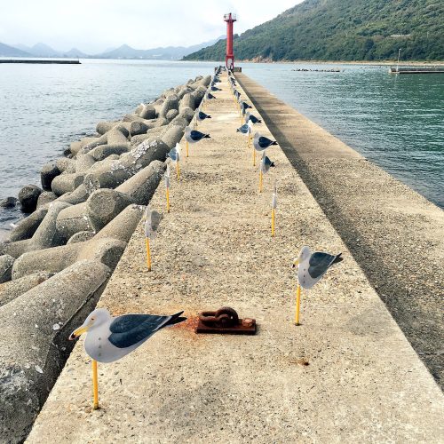 Tag: coasts - Ars Technica