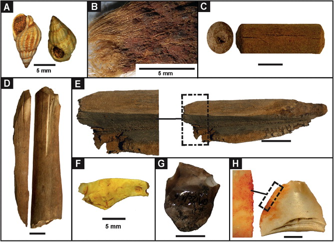 How humans survived in the barren Atacama Desert 13,000 years ago - Ars ...