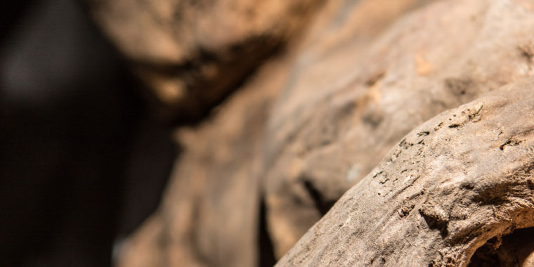 Surprise virus in child mummy unravels thousands of years of disease ...