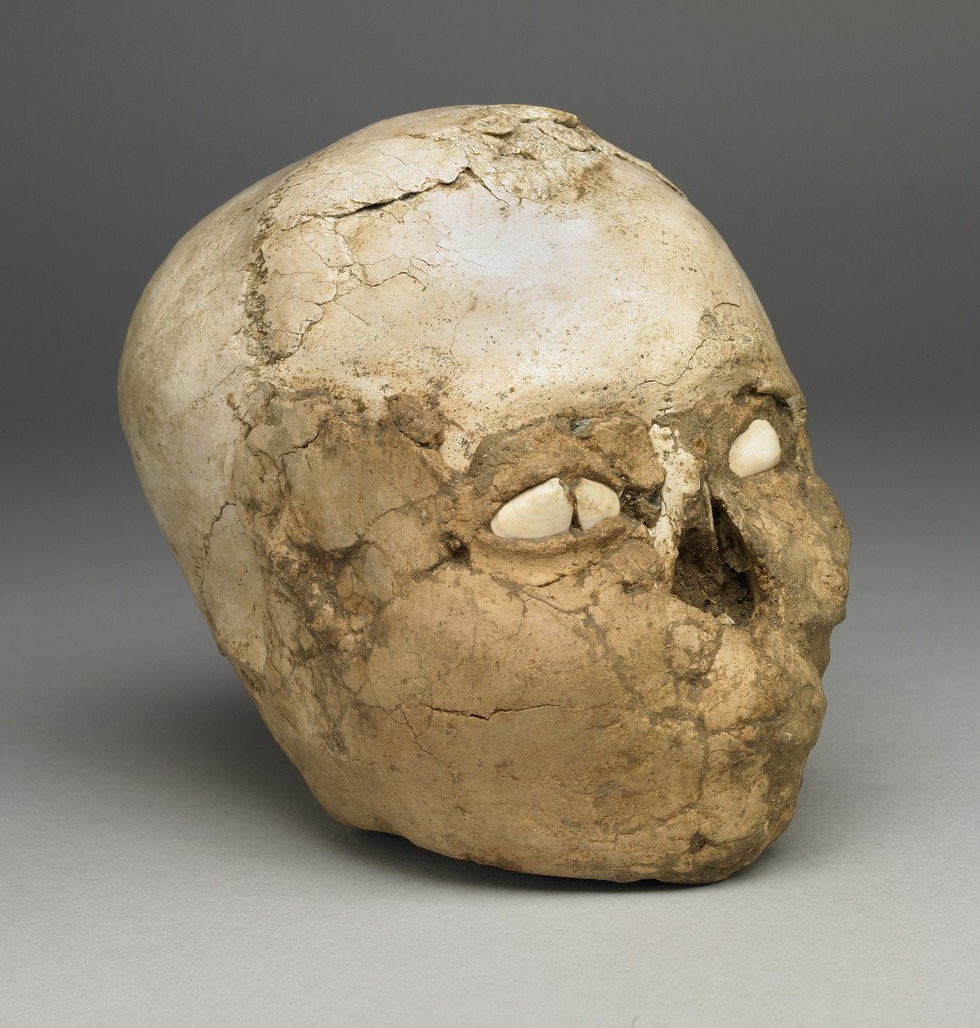 This man’s skull was ritualistically transformed 9,000 years ago in ...